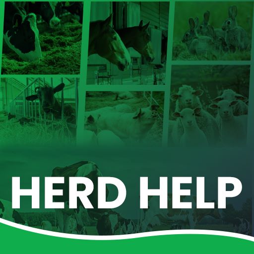 HerdHelp