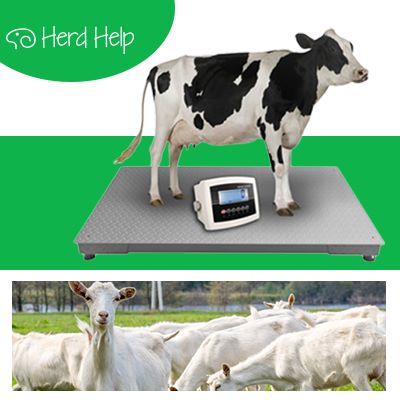 HerdHelp